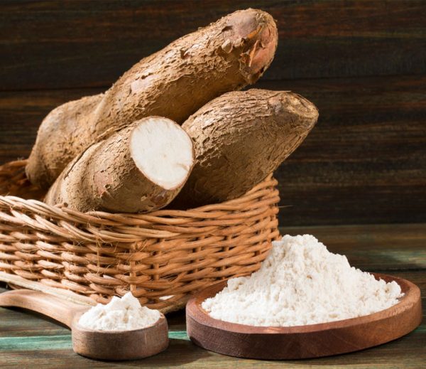 Tapioca Starch – Milestone Catalyst